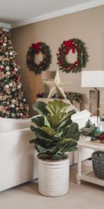 11 Fun Ideas to Decorate Your Fiddle Leaf Fig for Christmas