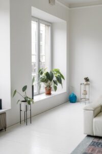 17 Stunning Ways to Decorate With Philodendrons - Houseplant Authority