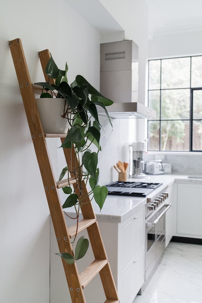 17 Stunning Ways to Decorate With Philodendrons - Houseplant Authority