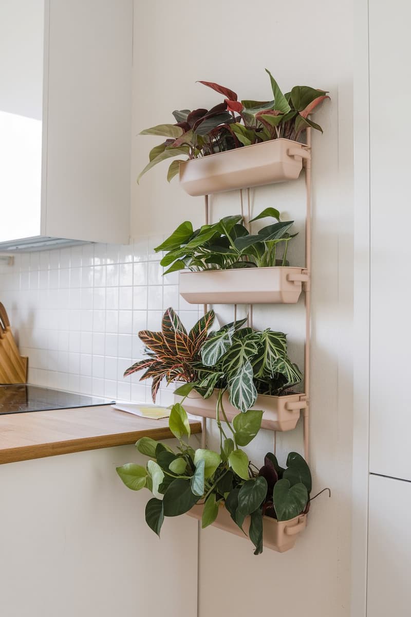 17 Stunning Ways to Decorate With Philodendrons - Houseplant Authority