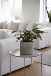 17 Stunning Ways to Decorate With Philodendrons - Houseplant Authority
