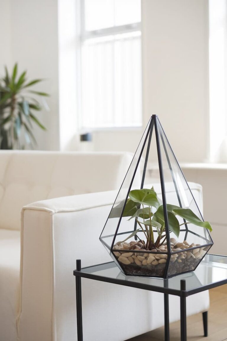 17 Stunning Ways to Decorate With Philodendrons - Houseplant Authority