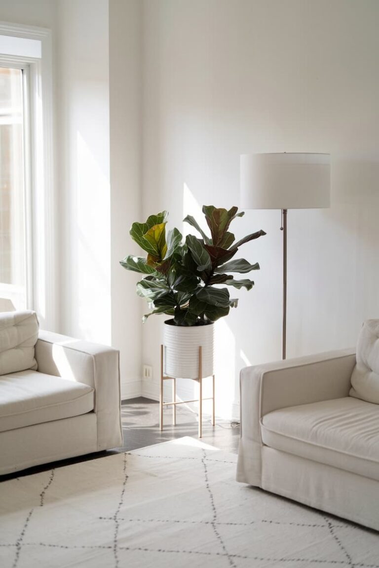 11 Must-Try Fiddle Leaf Fig Décor Ideas for a Stunning Living Room ...