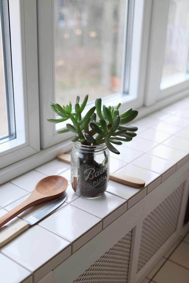 17 Gorgeous Jade Plant Décor Ideas for Any Room - Houseplant Authority