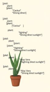 What is Direct Sunlight for Plants (vs Indirect Light)?